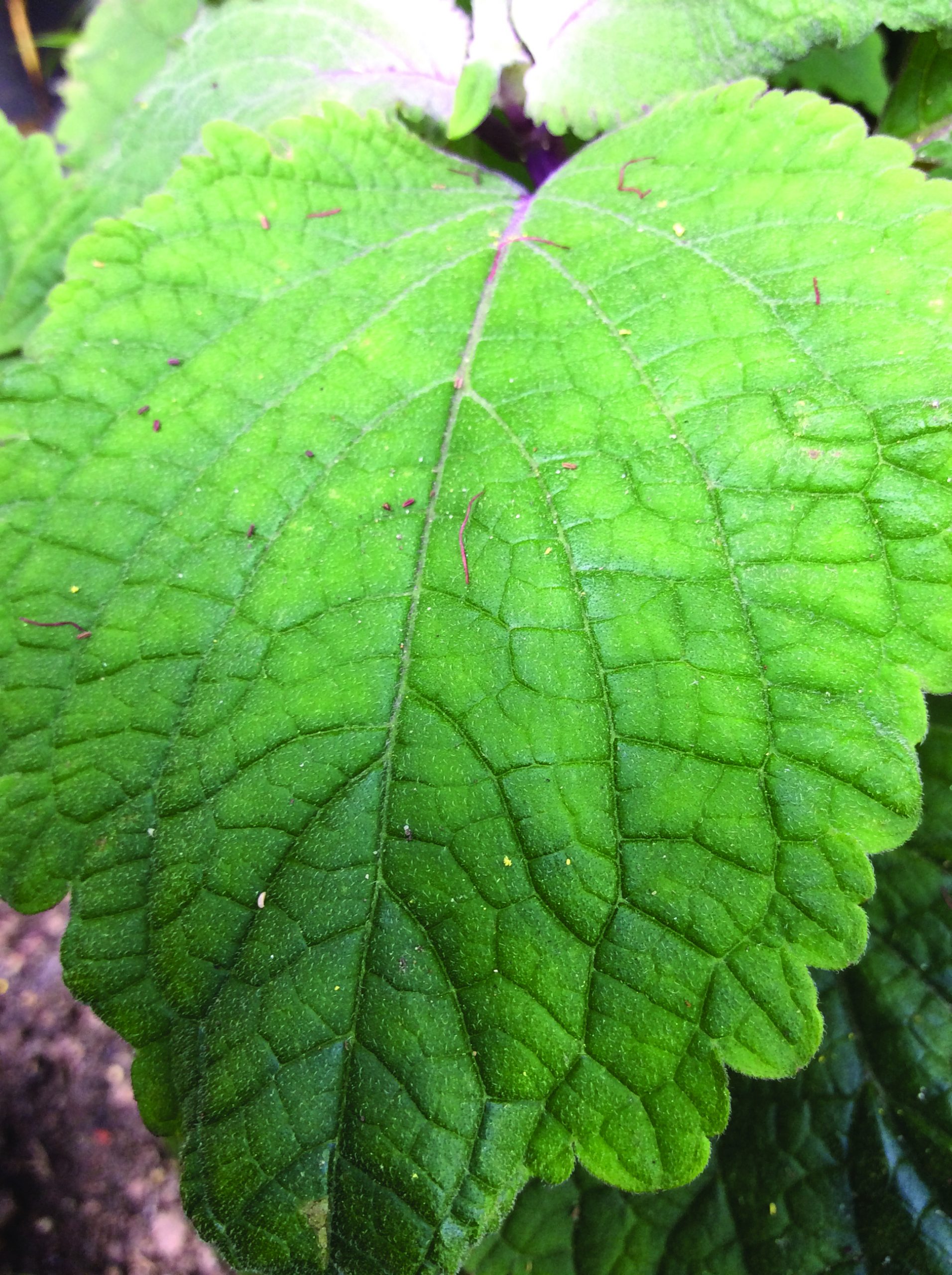 Feeling texture, seeing texture - Adventuring into Art